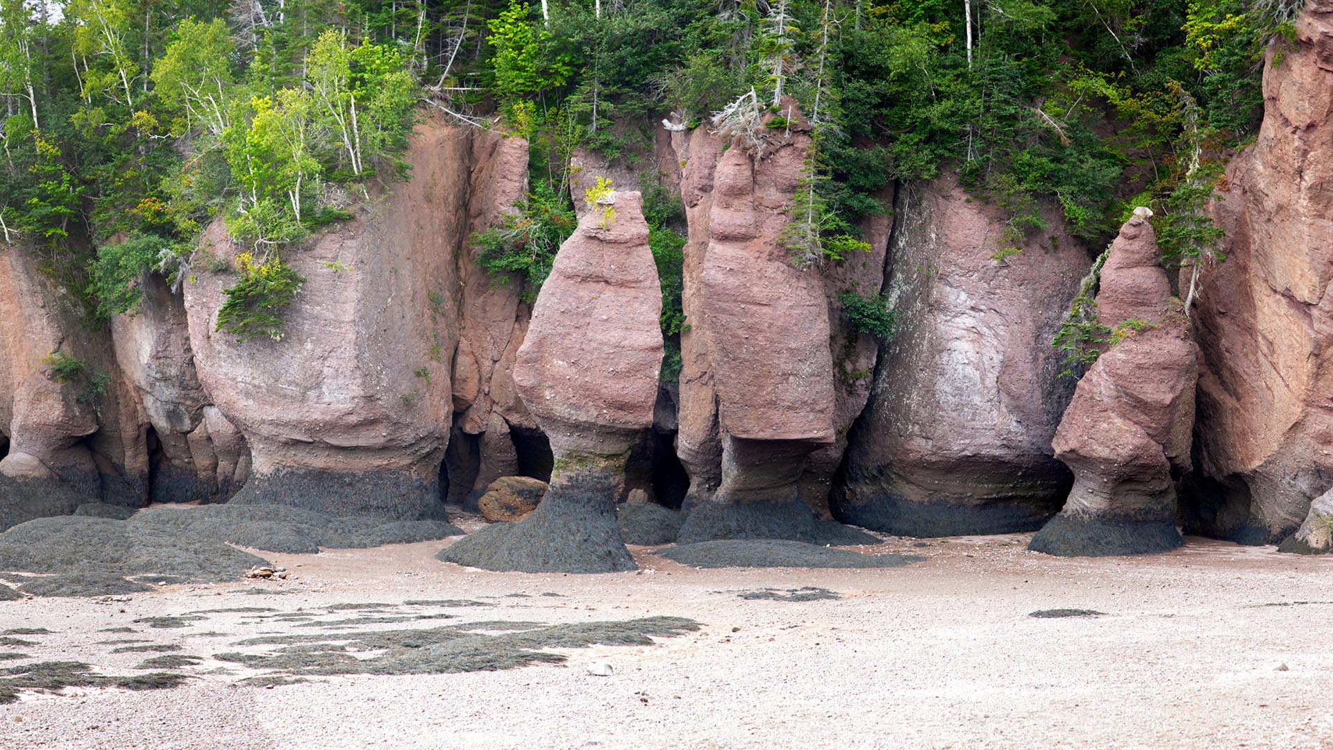 The Astonishing Cliffs Of Fundy Is Now A UNESCO Global Geopark!