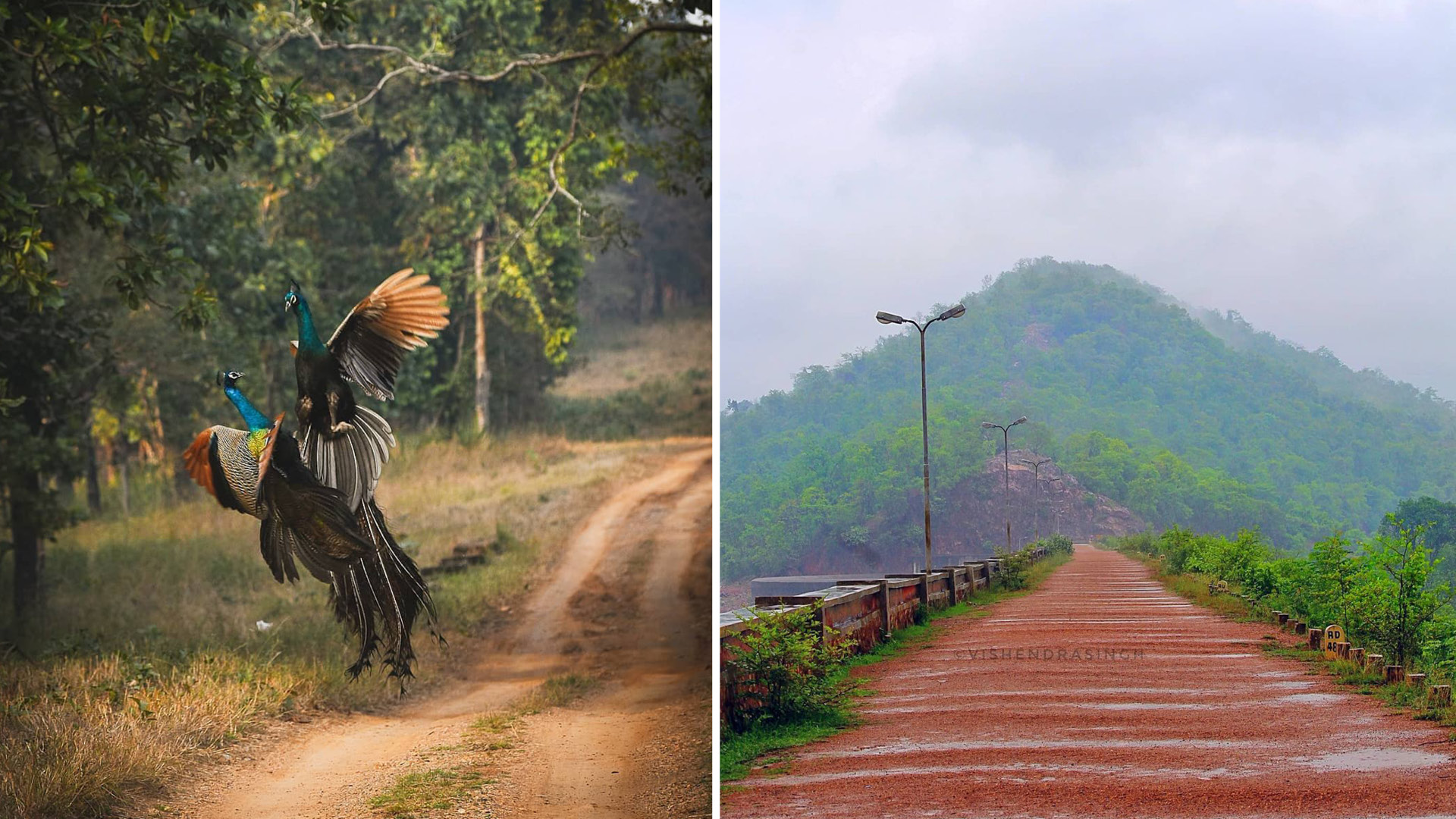 Rice City Of Gondia Can Be Your Next Weekend Getaway In Maharashtra